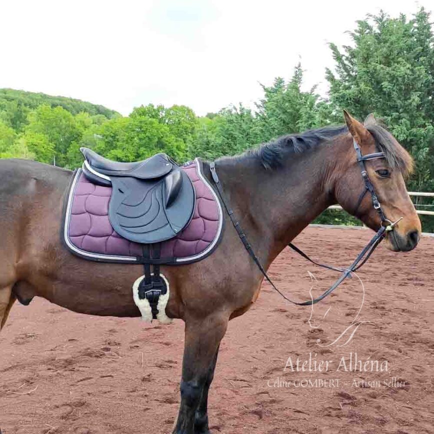 Selle sur mesure, au plus près du cheval et de son cavalier - Atelier ...